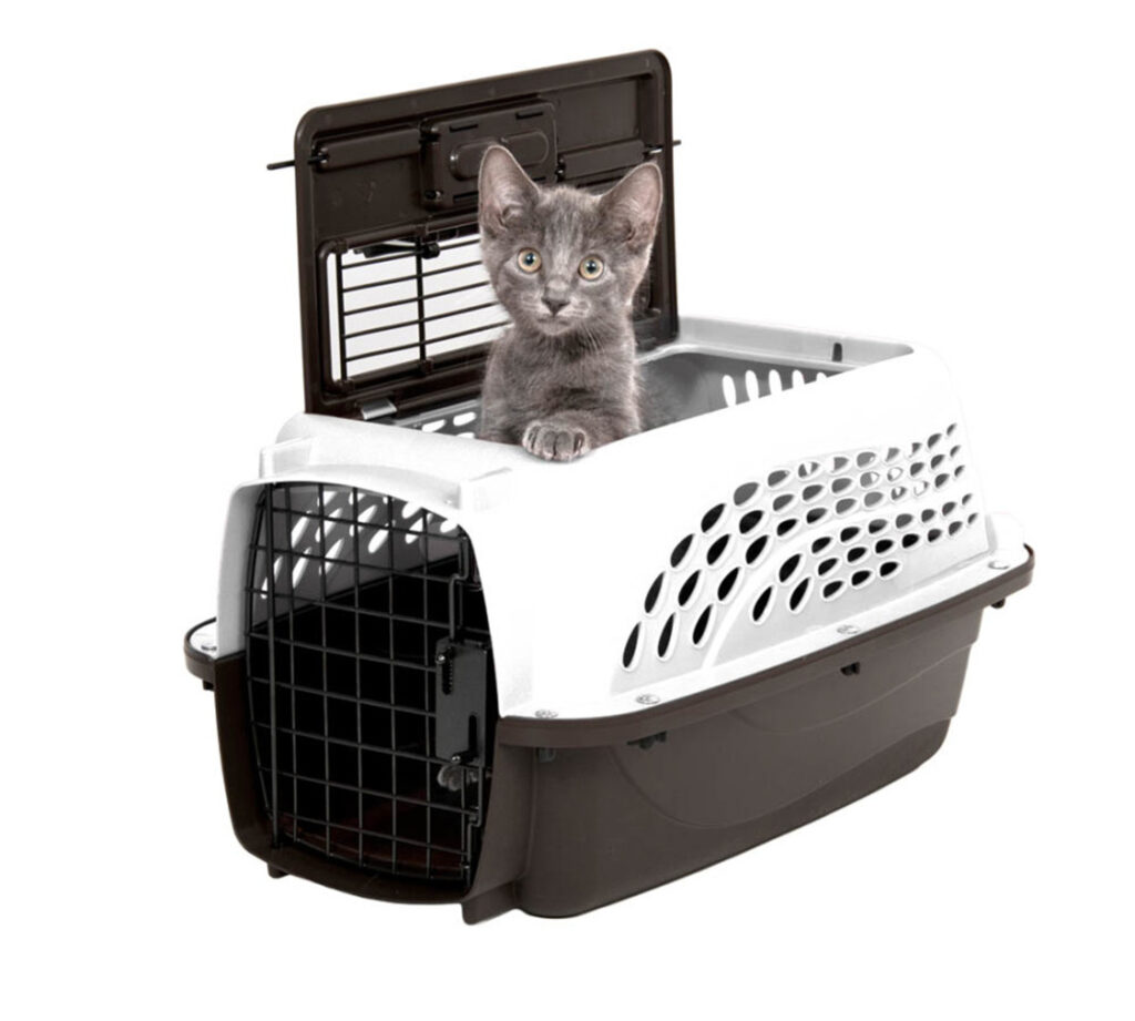 Petmate 2 Door Top Load Dog Kennel Hard-Sided Pearl White, Coffee ...